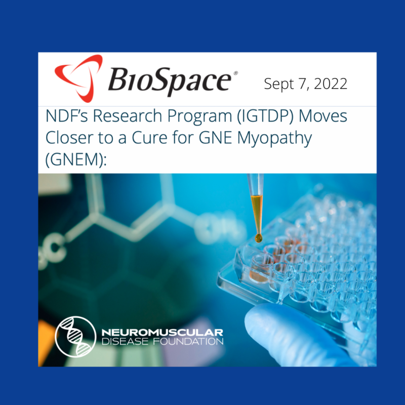 NDF | What Are The Most Common Neuromuscular Diseases? | GNEM